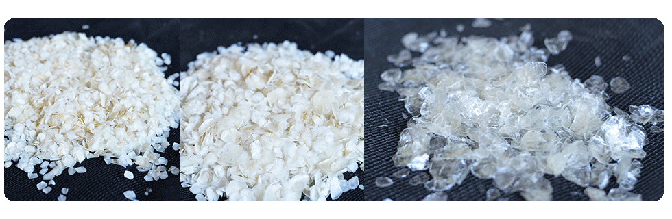 Fish scale Ossein - Chitosan manufacturer