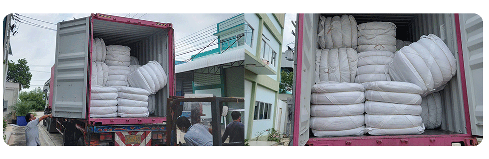 Fish scale Ossein - Chitosan manufacturer