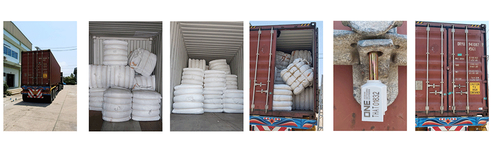 Fish scale Ossein - Chitosan manufacturer